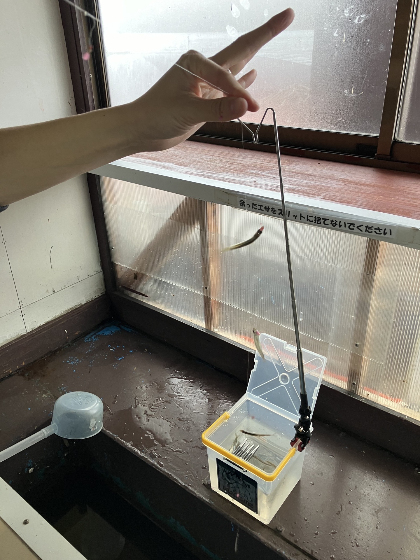 民宿ひばらのひばら丸でワカサギ釣り: バス釣り三昧〜スモールマウスバス攻略ブログ〜