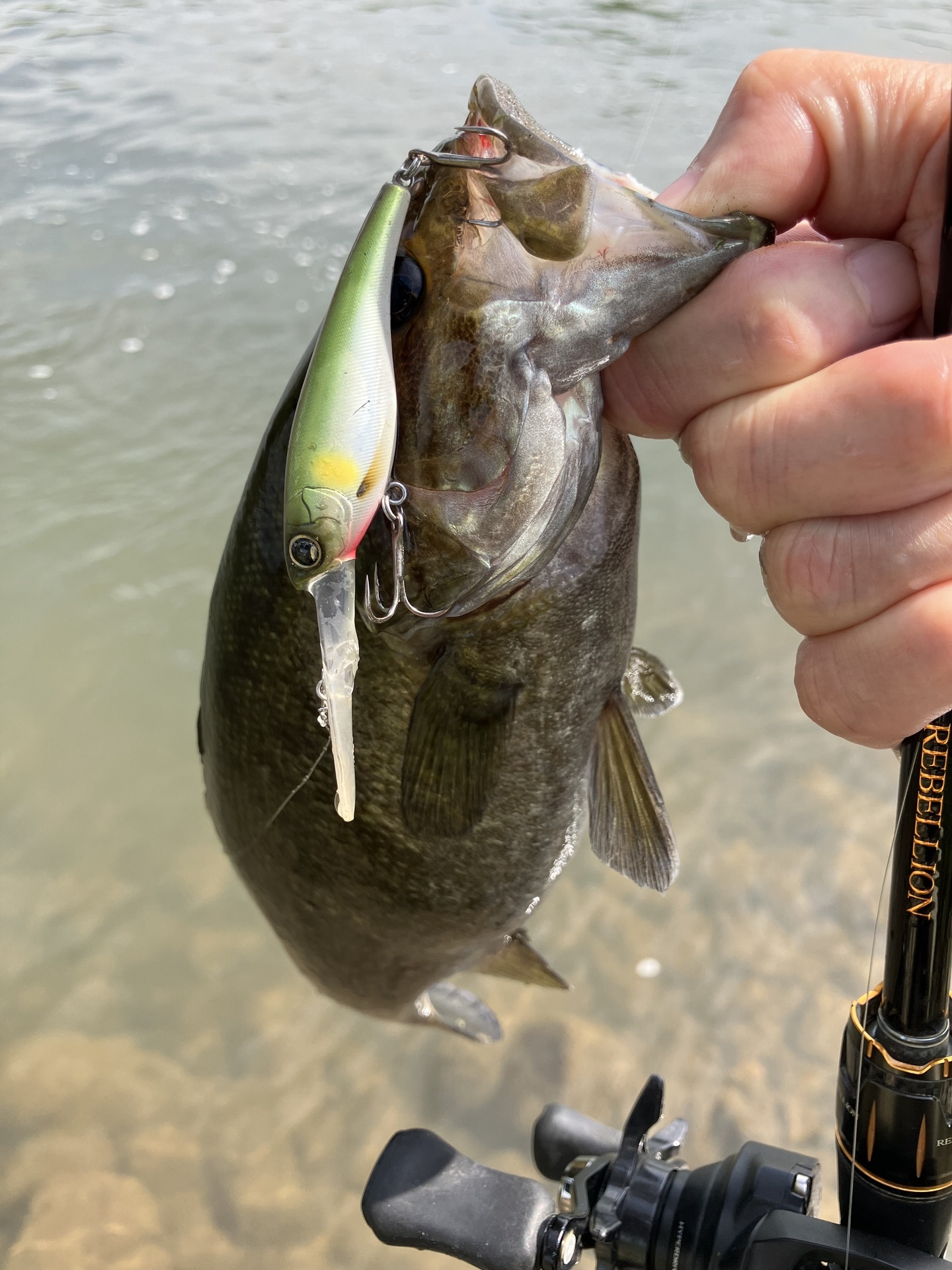 シャッドのジャークでスモールマウスバス: バス釣り三昧〜スモールマウスバス攻略ブログ〜