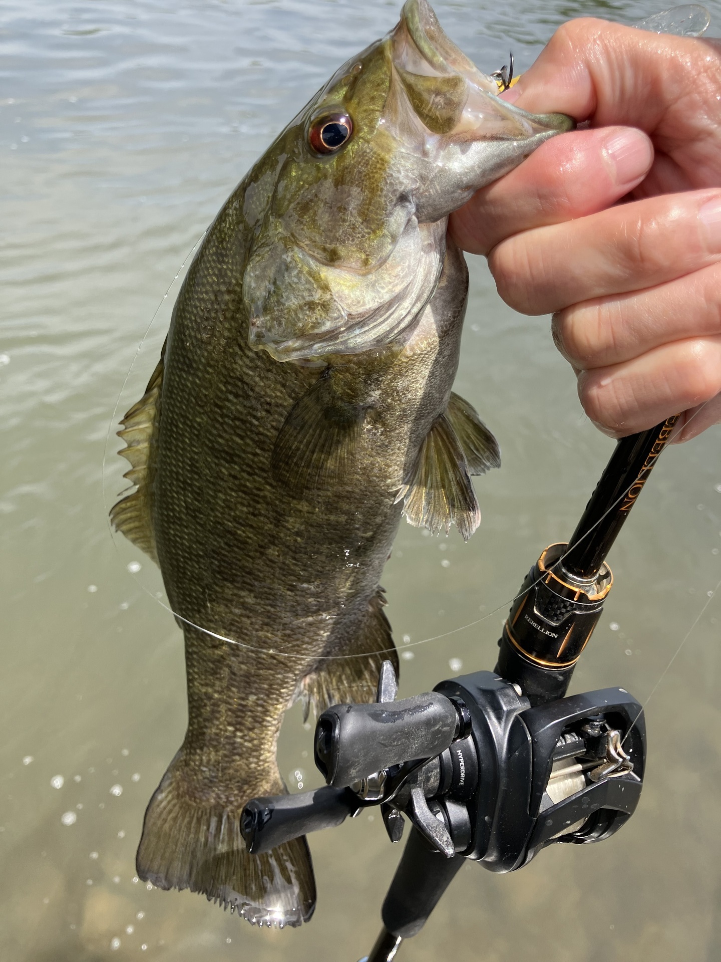 シャッドのジャークでスモールマウスバス: バス釣り三昧〜スモールマウスバス攻略ブログ〜