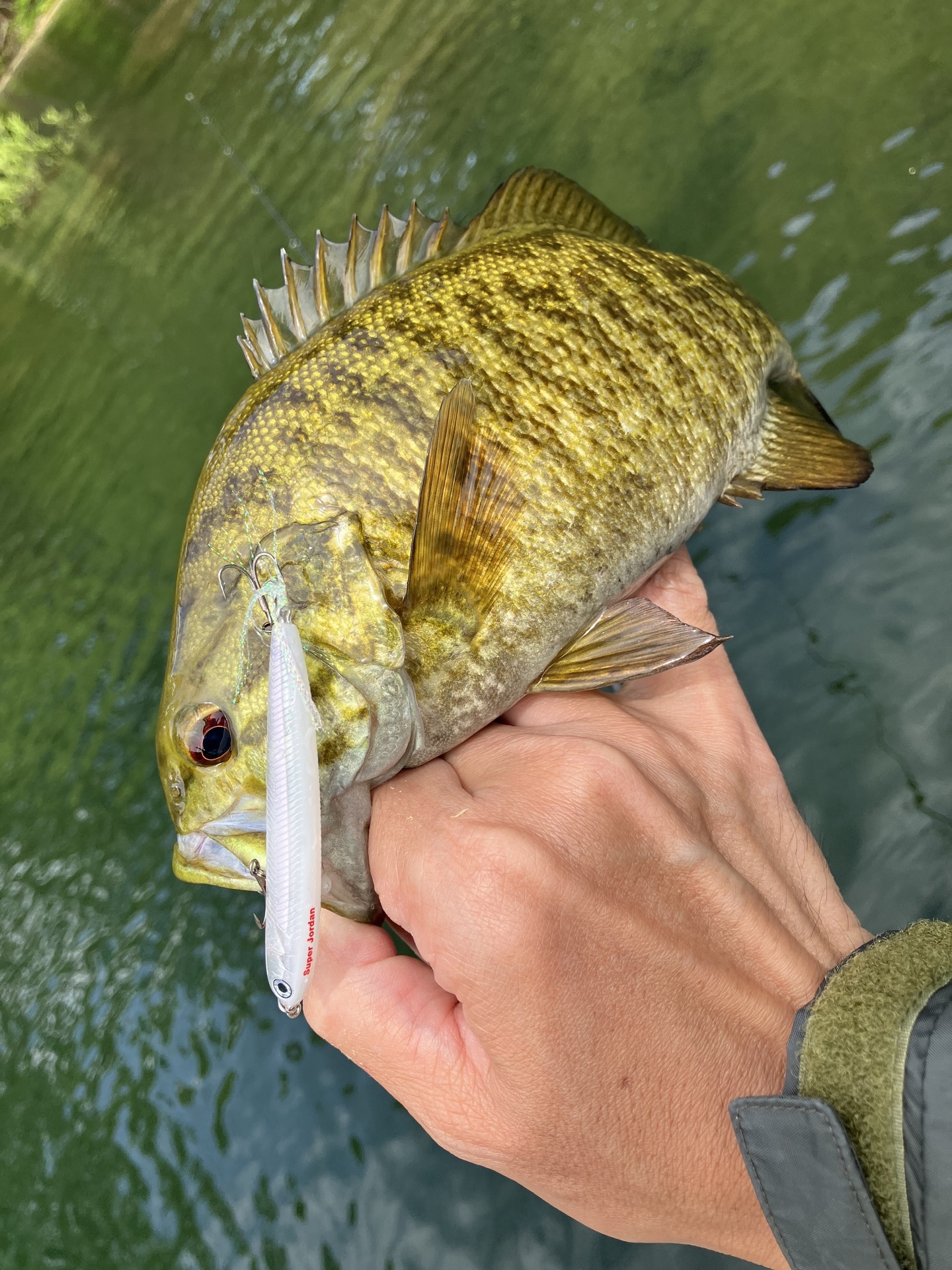 桧原湖ダブルボートリベンジ釣行: バス釣り三昧〜スモールマウスバス攻略ブログ〜